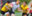 November Internationals 2025 - Romania vs Canada - ARN Guide - Americas ...