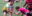 Eagles boost new-look Anthem roster for 2025 MLR campaign - Americas ...